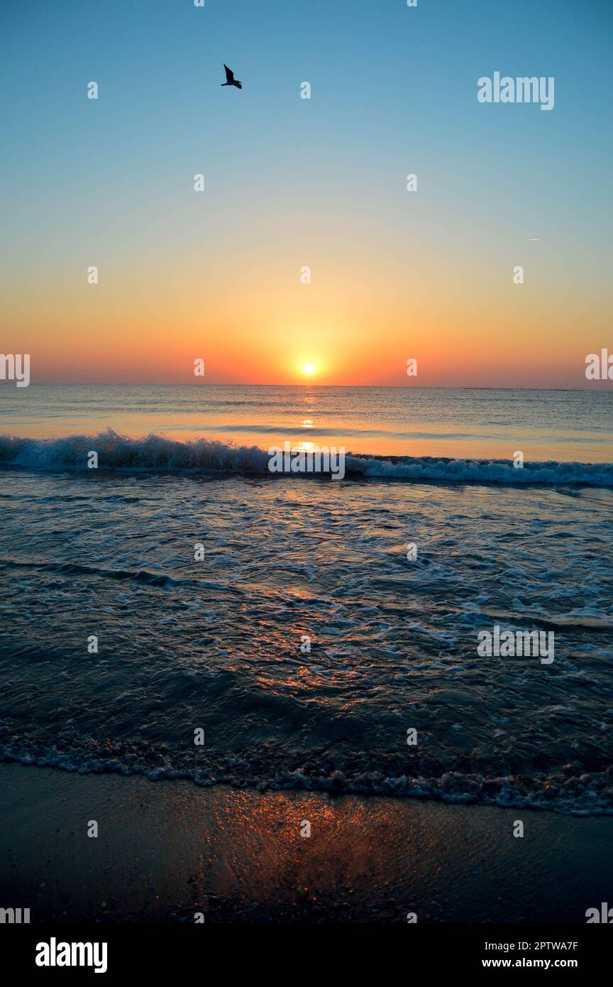 Beautiful summer landscape, sunset at the beach, sparkly sand and waves ...