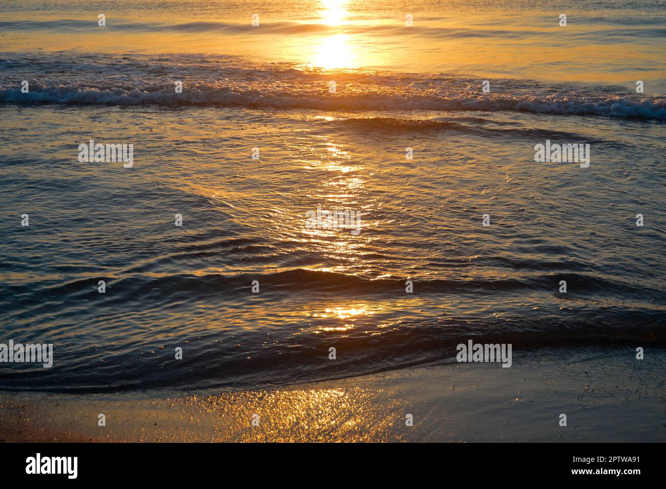 Beautiful summer landscape, sunset at the beach, sparkly sand and waves ...