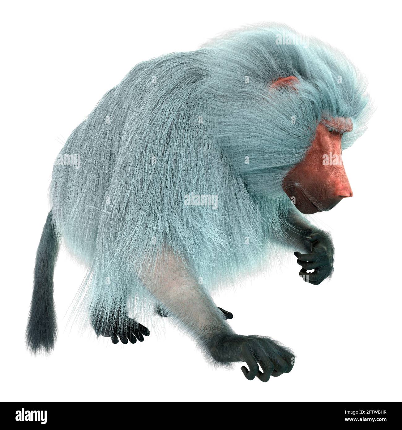 3D rendering of a baboon ape isolated on white background Stock Photo ...