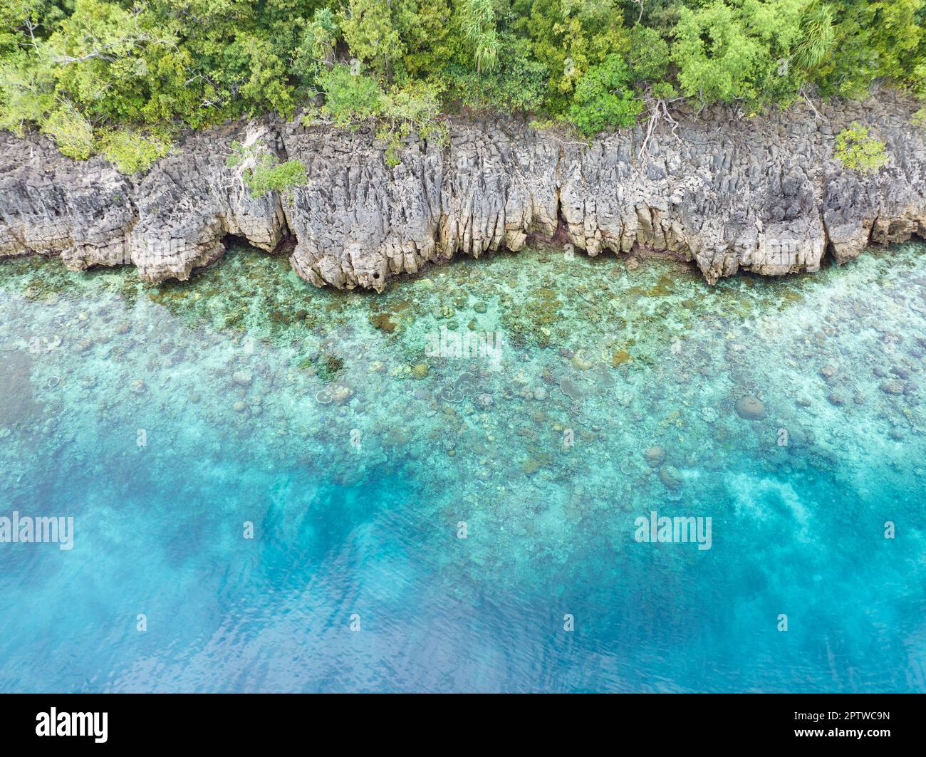 Beautiful coral reefs surround the dramatic limestone islands that rise ...