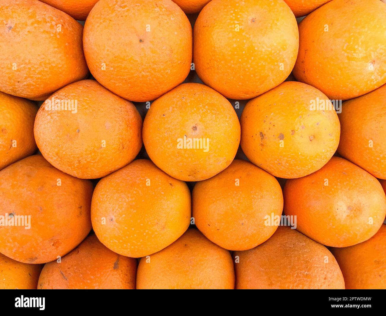 Marrakech market adventure hi-res stock photography and images - Alamy