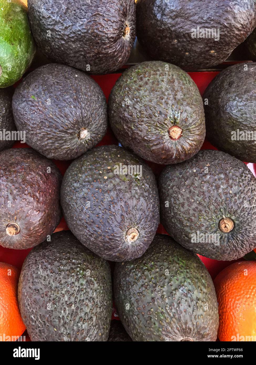 World avocado market hi-res stock photography and images - Alamy