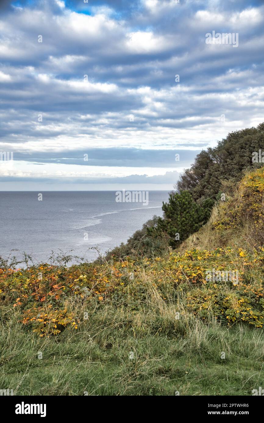 Hundested, Denmark on the cliff overlooking the sea. Baltic Sea coast ...