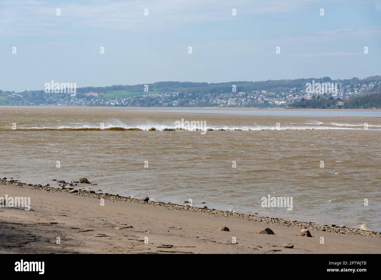 The Arnside tidal bore traveling up the Kent Estuary at Arnside ...