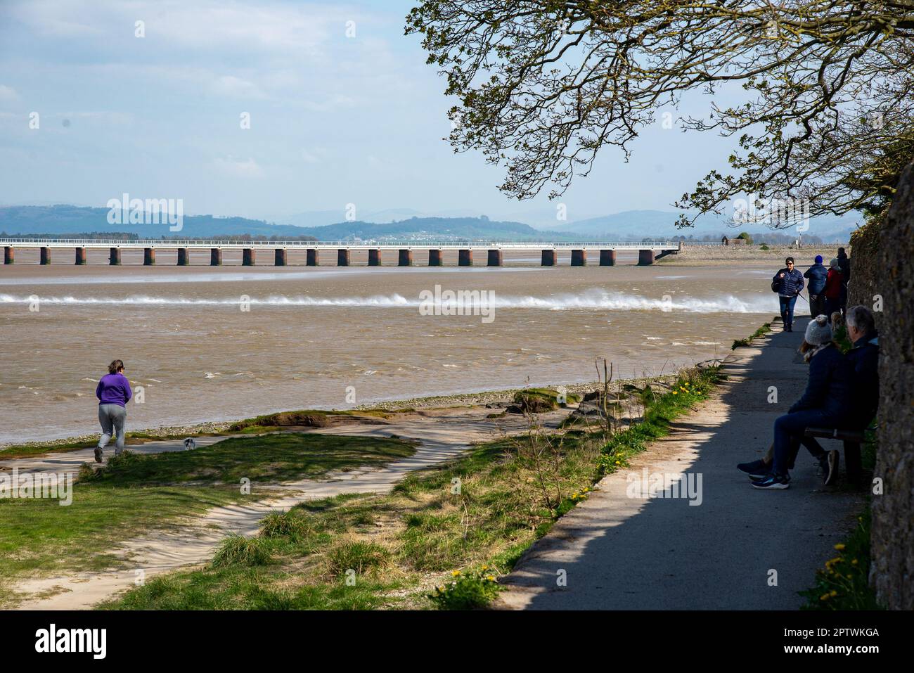 The Arnside tidal bore traveling up the Kent Estuary at Arnside ...