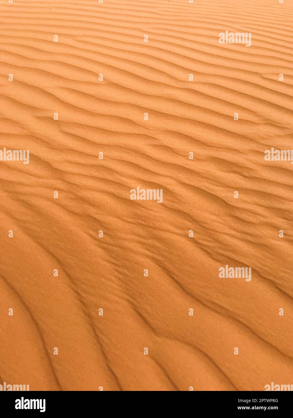 Mauritania, Terjit Oasis, sand dunes Stock Photo - Alamy
