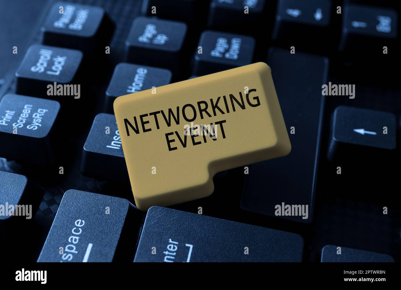 Text caption presenting Networking Event, Business concept Developing ...