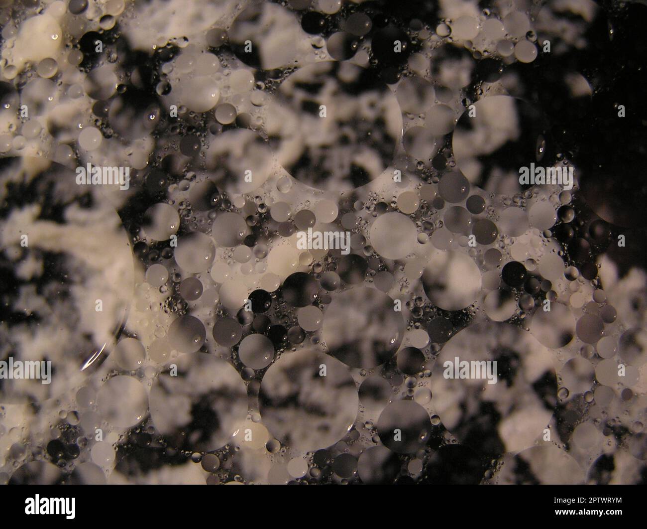 macro shot of bubbles, drops of fat on water look like space Stock ...