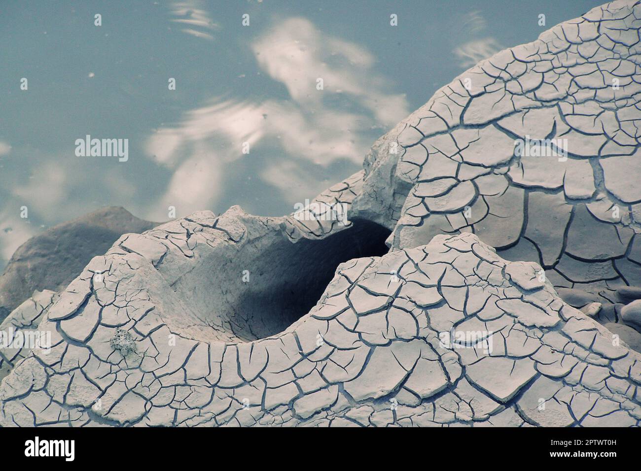 Wamp up hi-res stock photography and images - Alamy