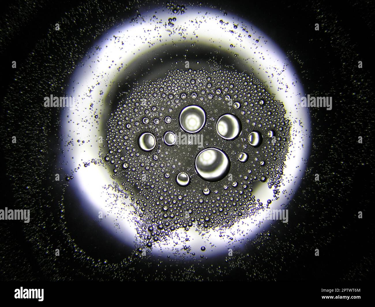 macro shot of bubbles, drops of fat on water look like space Stock ...