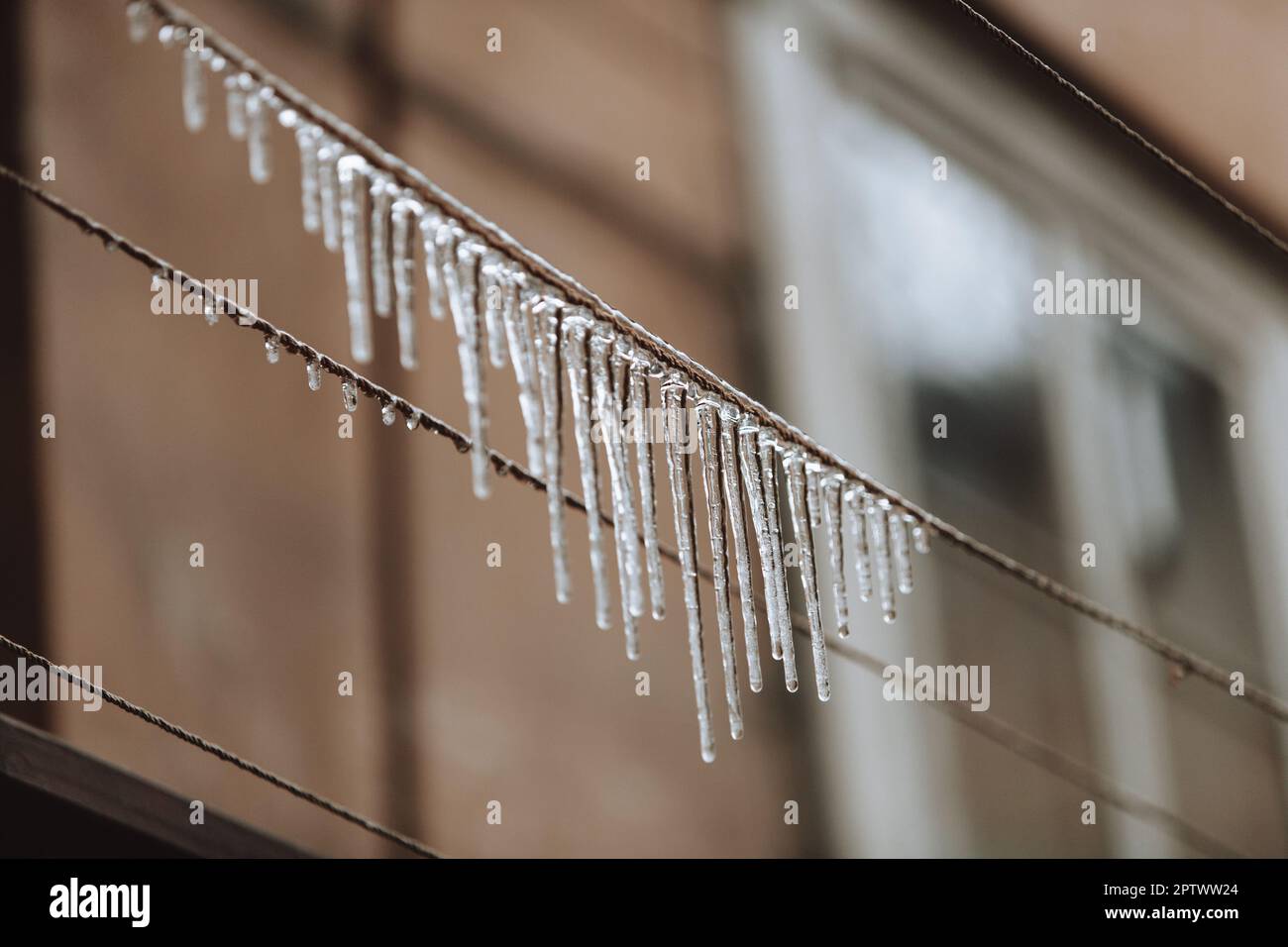 many frozen icicles in a row on a clothesline Stock Photo - Alamy