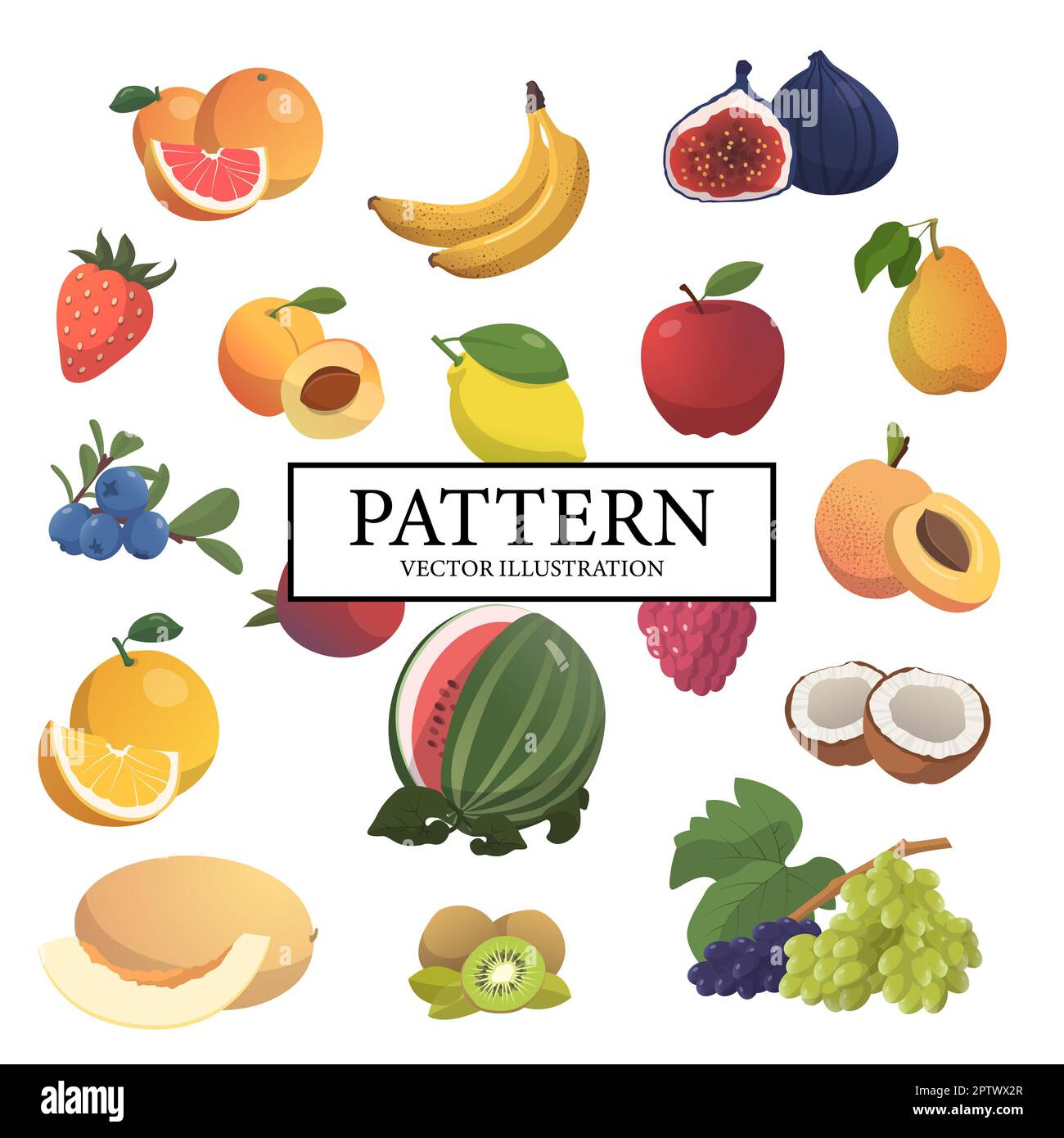 Pattern of various fruits on a white background - Vector illustration ...