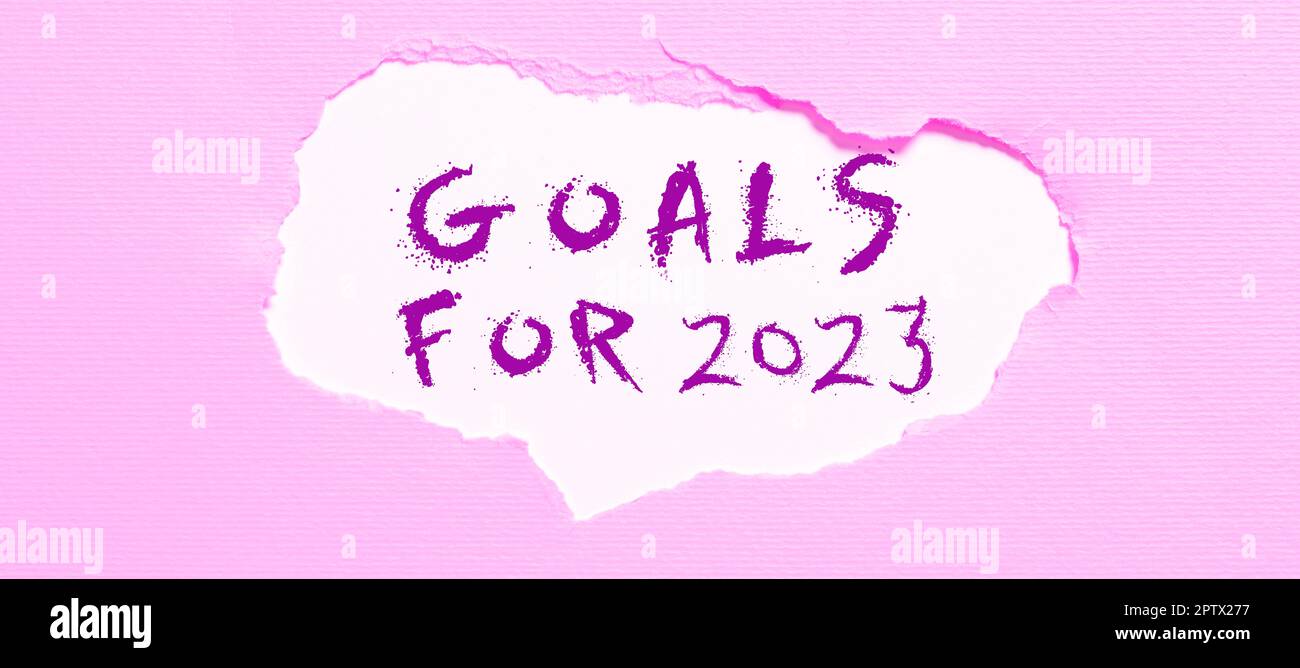 Writing displaying text Goals For 2023, Business idea The following ...