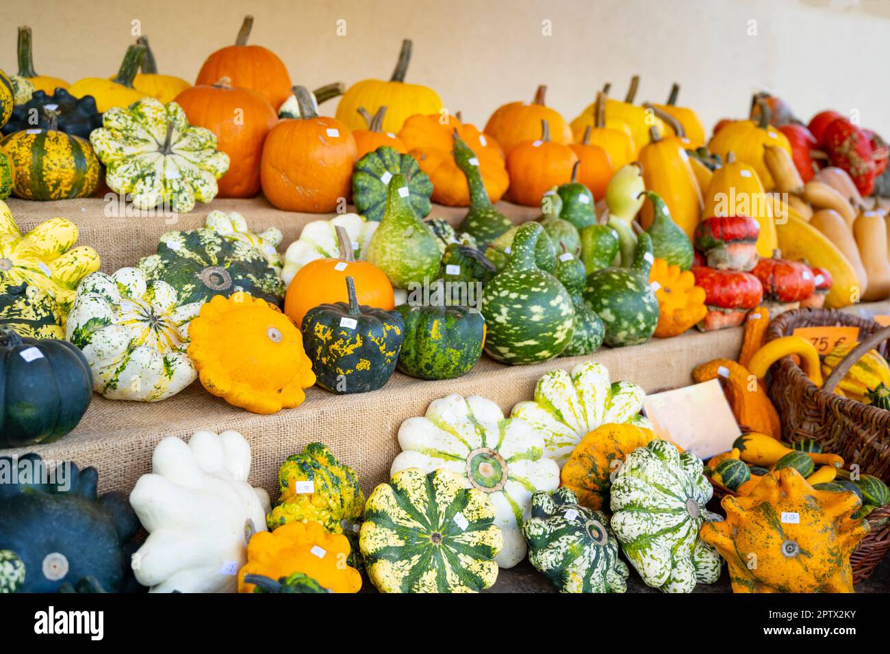 Boost Fall Sales with Pumpkin Merchandising Stock Photo - Alamy