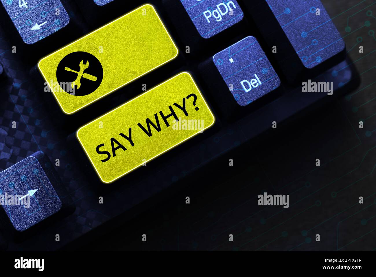 Text sign showing Say Why, Internet Concept Give an explanation Express ...