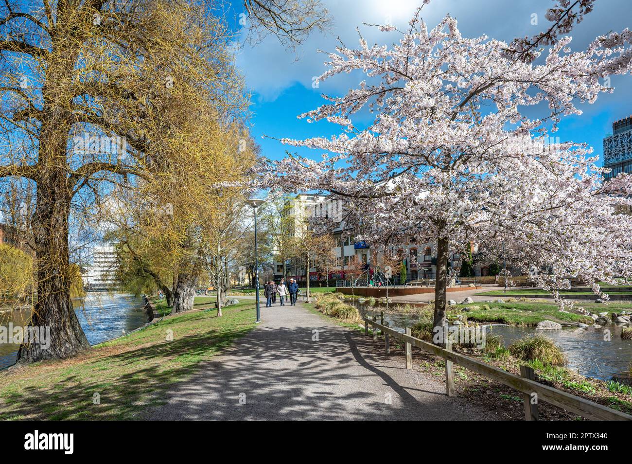 People walk between the creek and river in citypark Stromparken during ...