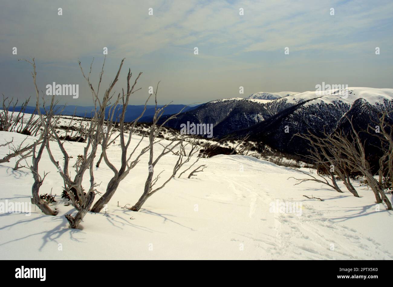 Australian alps snow hi-res stock photography and images - Alamy