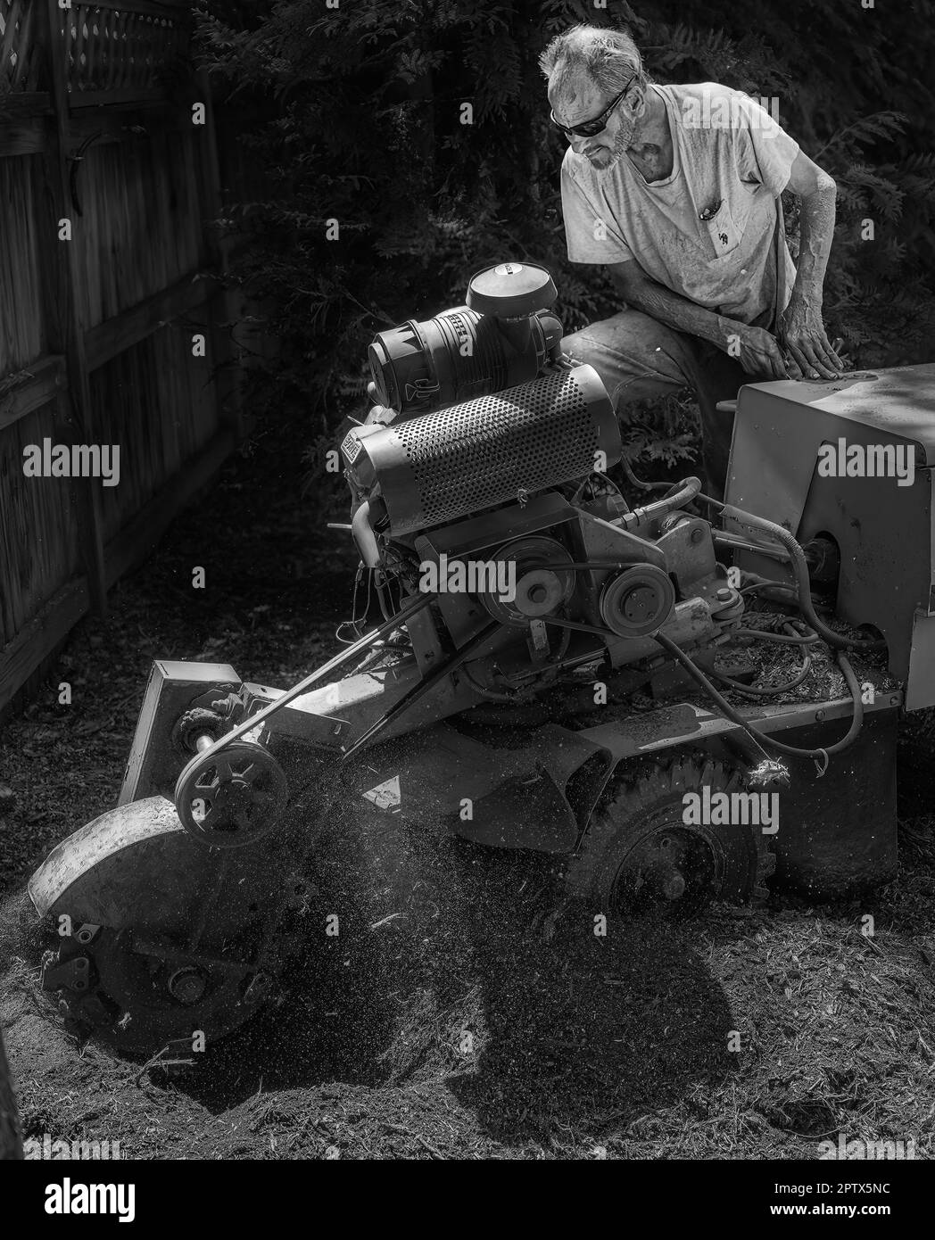 Stump grinding machine hi-res stock photography and images - Alamy