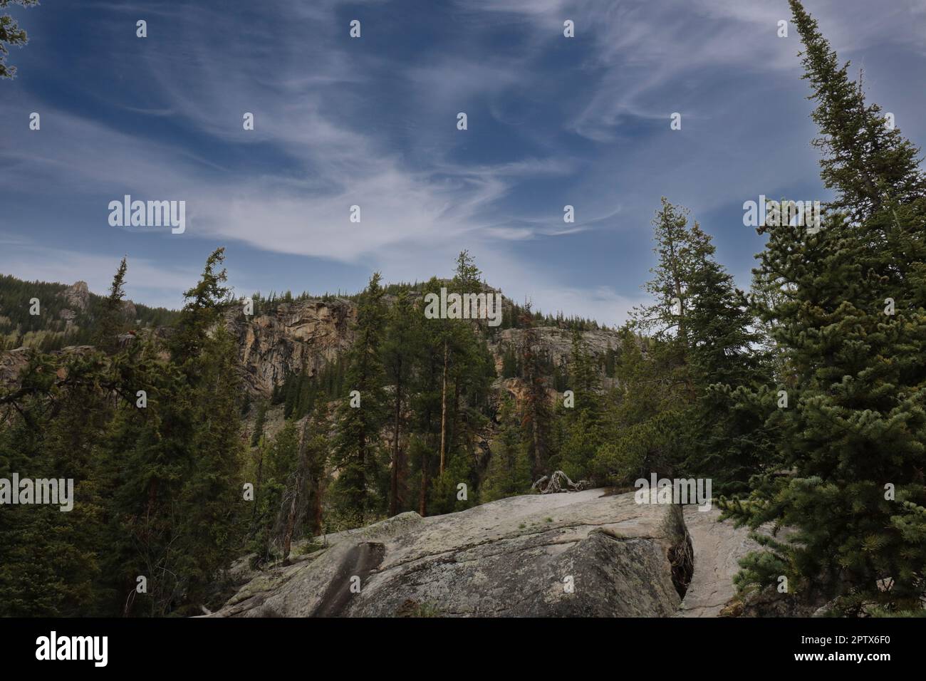A large granite boulder nestled among Pine trees, in front of a ...
