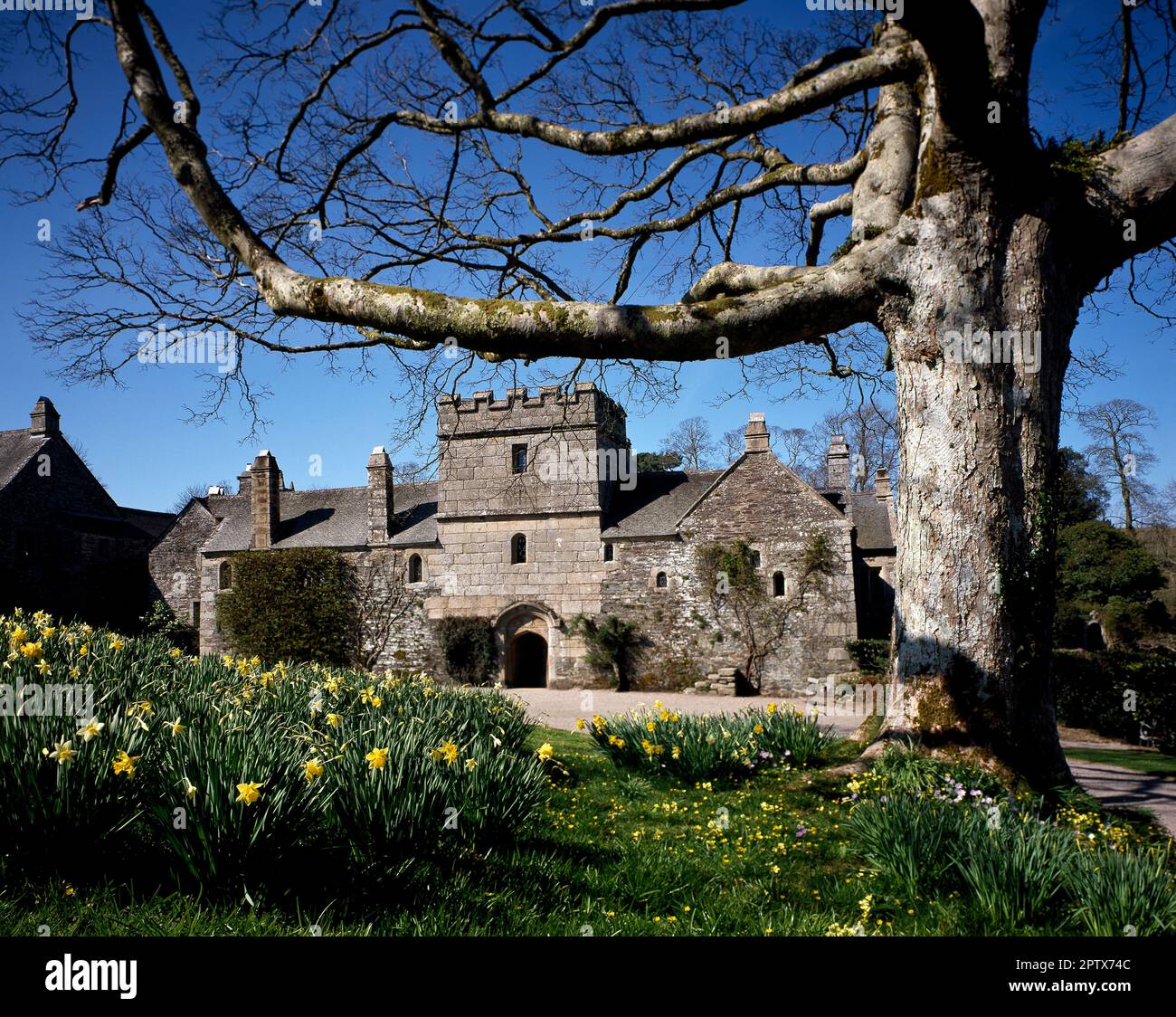 Tamar valley hi-res stock photography and images - Alamy