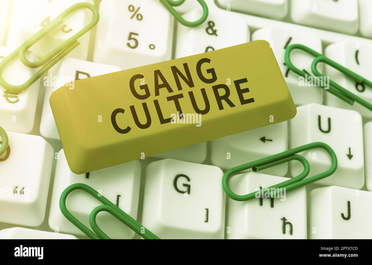 Inspiration showing sign Gang Culture, Business showcase particular ...