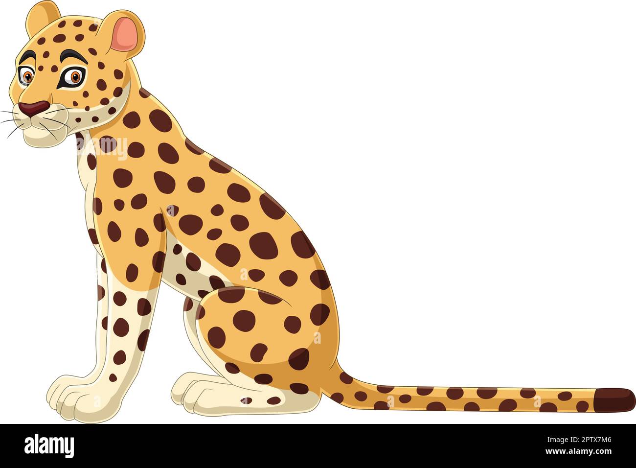 Cartoon leopard on white background Stock Vector Image & Art - Alamy