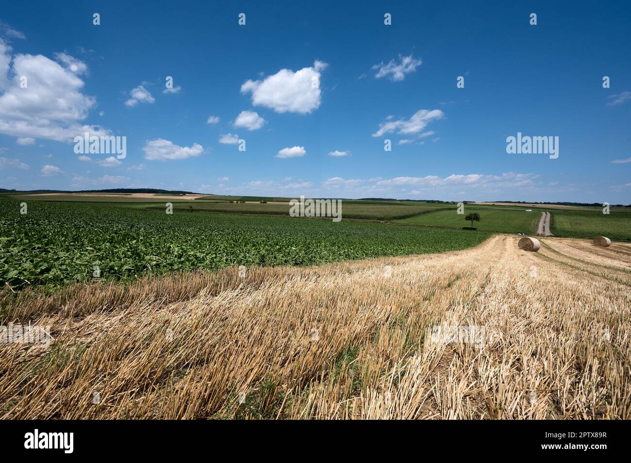 View over wide landscape hi-res stock photography and images - Alamy