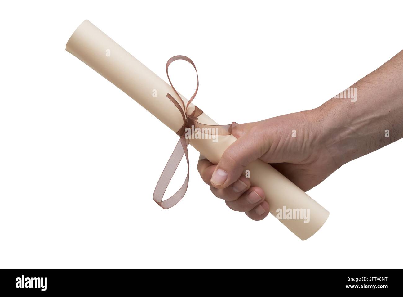 a diploma rolled up and tied with a red ribbon on the hand on a ...