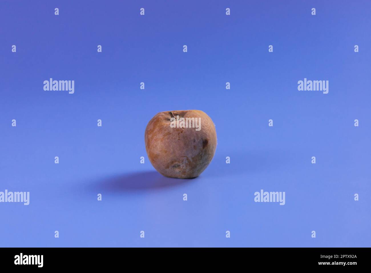 Apple with mold and fresh apple on beige background - mold growth and ...