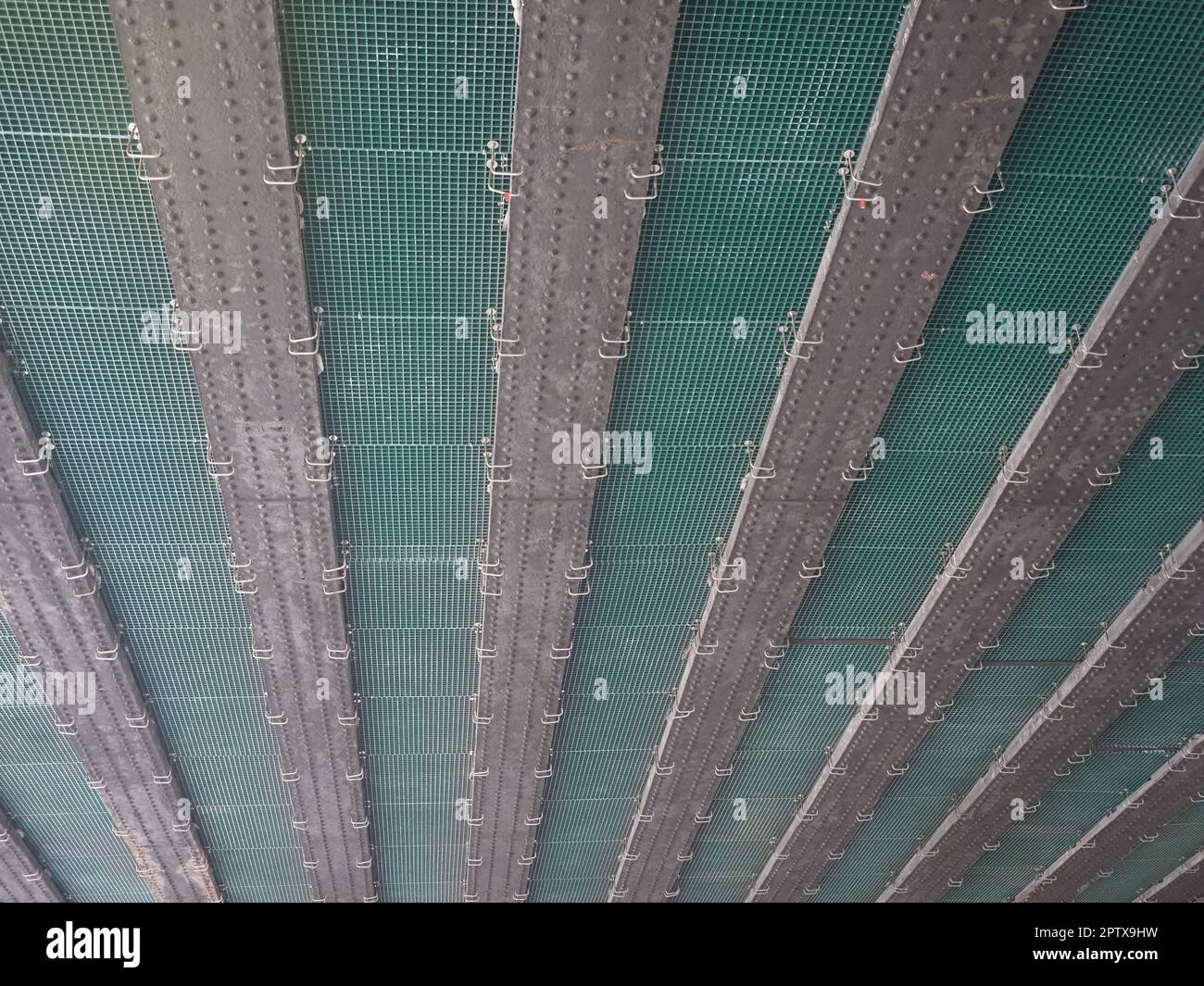 Pigeon protection hi-res stock photography and images - Alamy