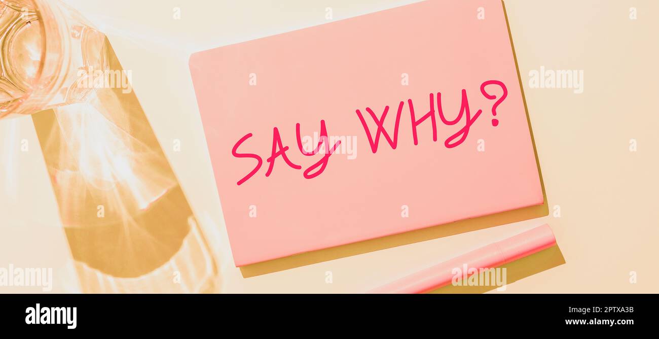 Hand writing sign Say Why, Business overview Give an explanation ...