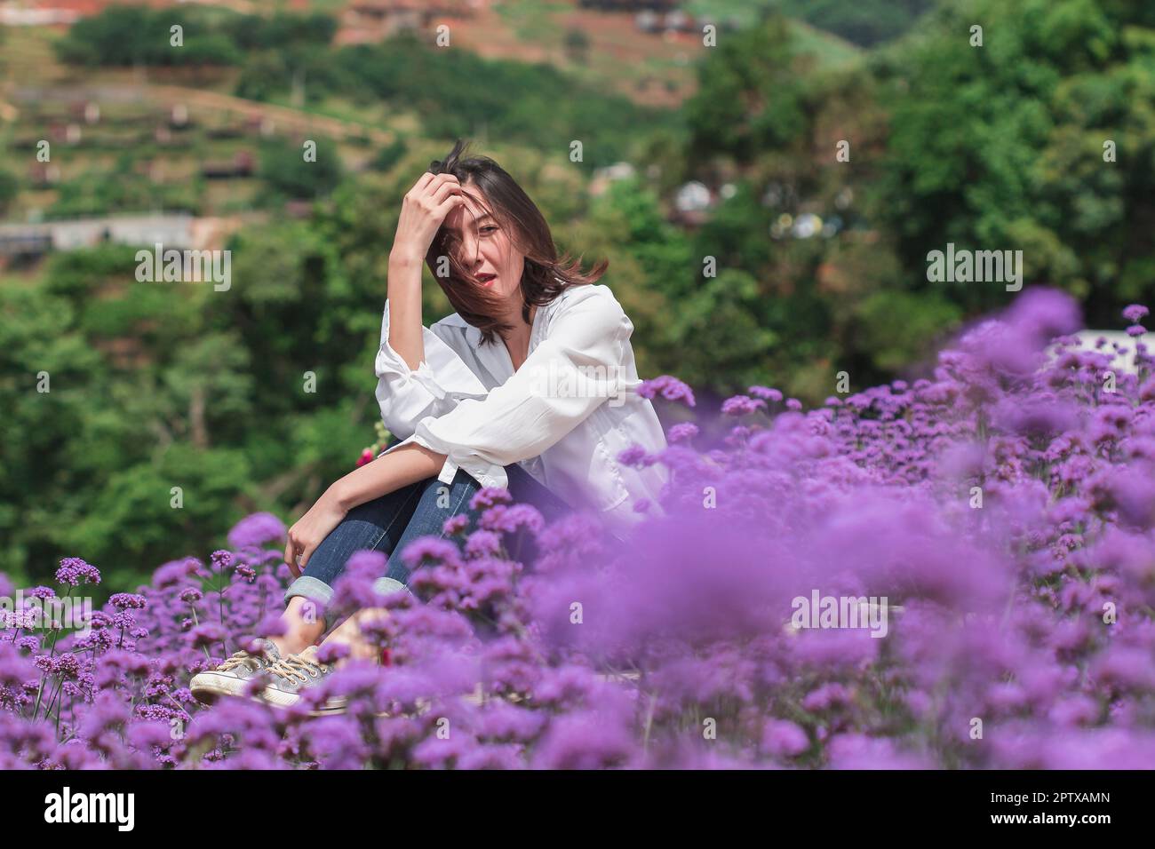 Women in the Verbena field are blooming and beautiful in the rainy ...