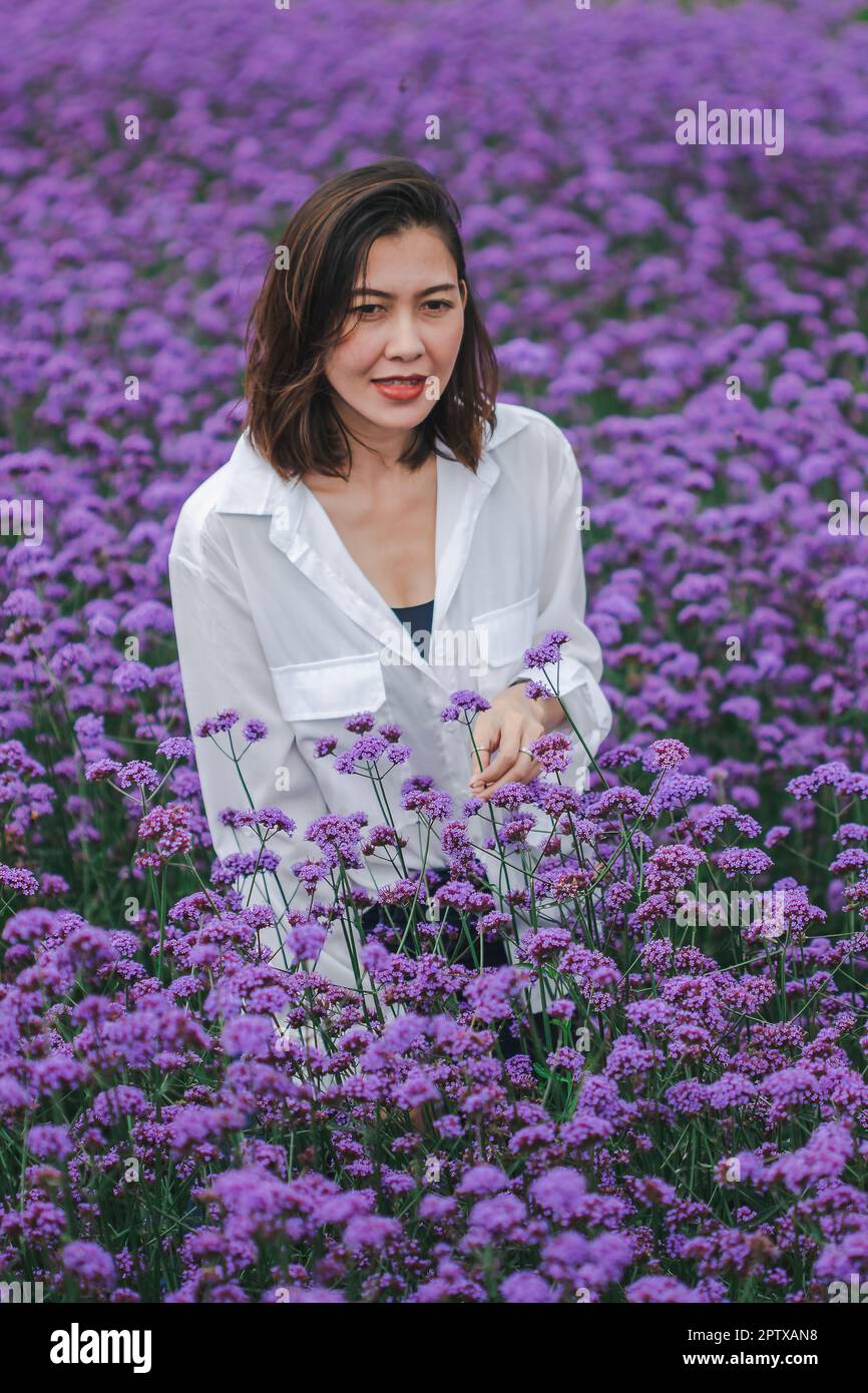 Women in the Verbena field are blooming and beautiful in the rainy ...