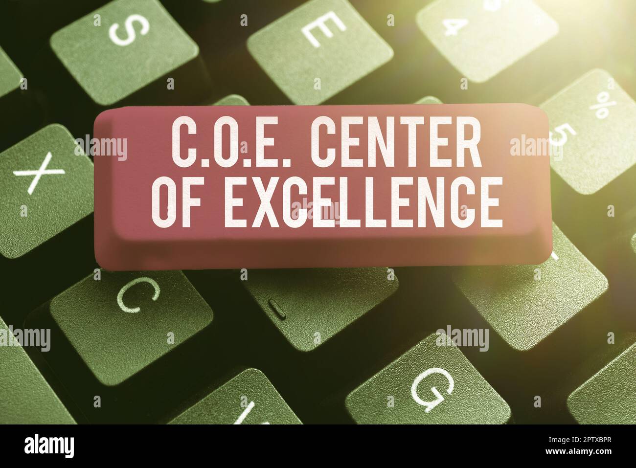 Text sign showing C.O.E. Center Of Excellence, Business overview being ...