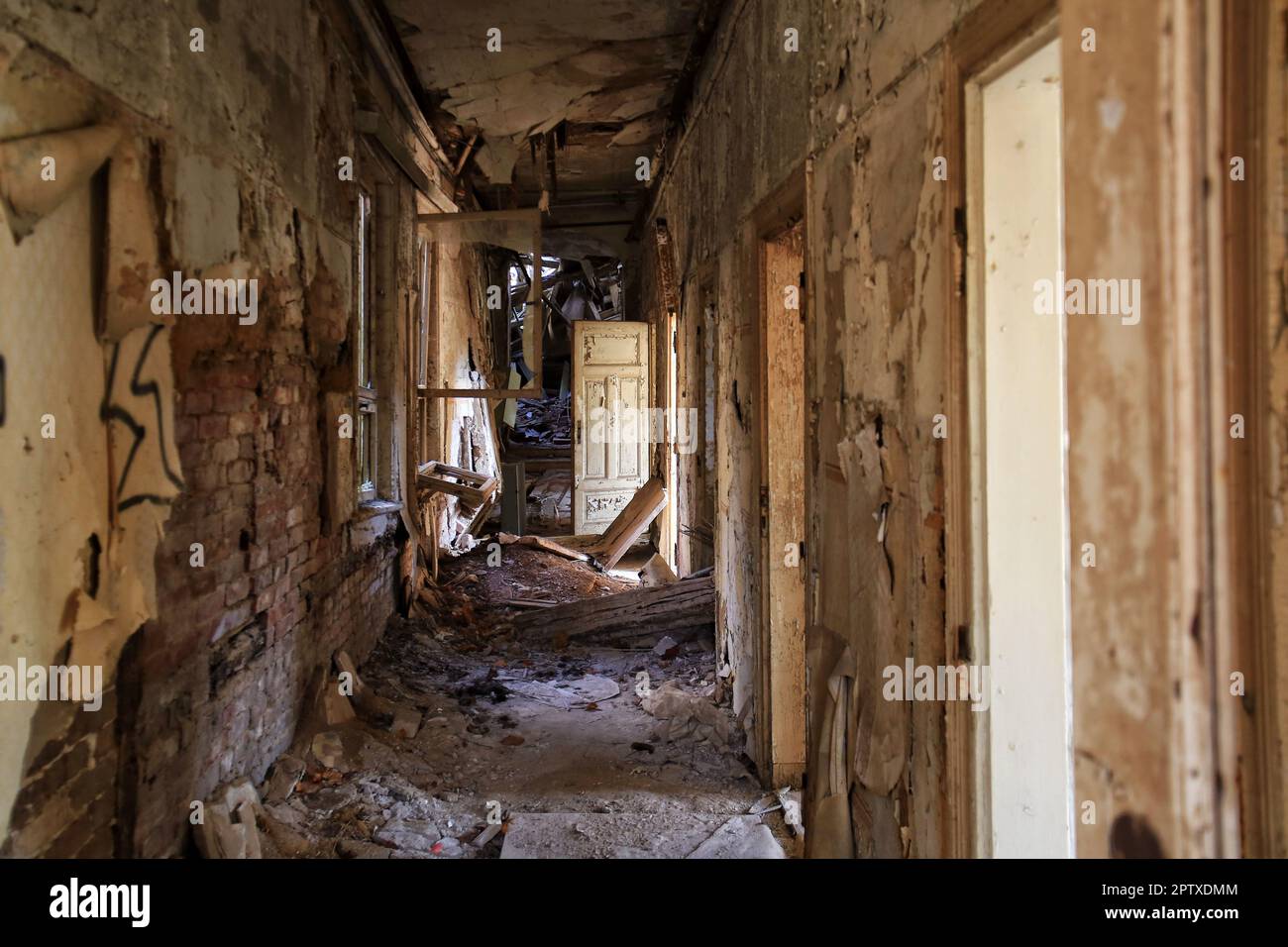 Hall of many doors hi-res stock photography and images - Alamy