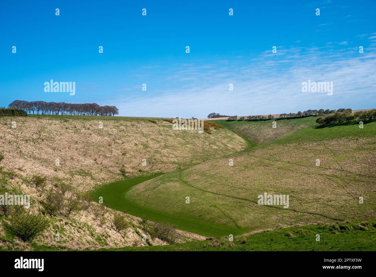 Winding valley with green rolling hills and tree lined horizon with ...