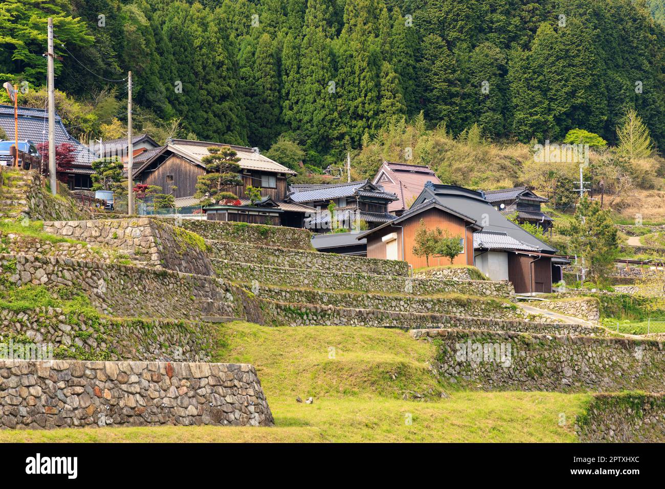 Stone walls of terraced rice fields and traditional Japanese houses in ...