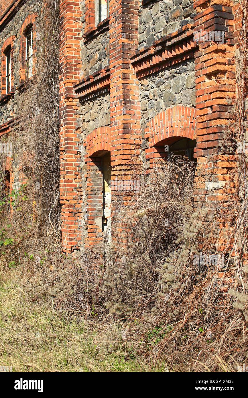 Facade of abandoned German building, overgrown by vines Stock Photo - Alamy