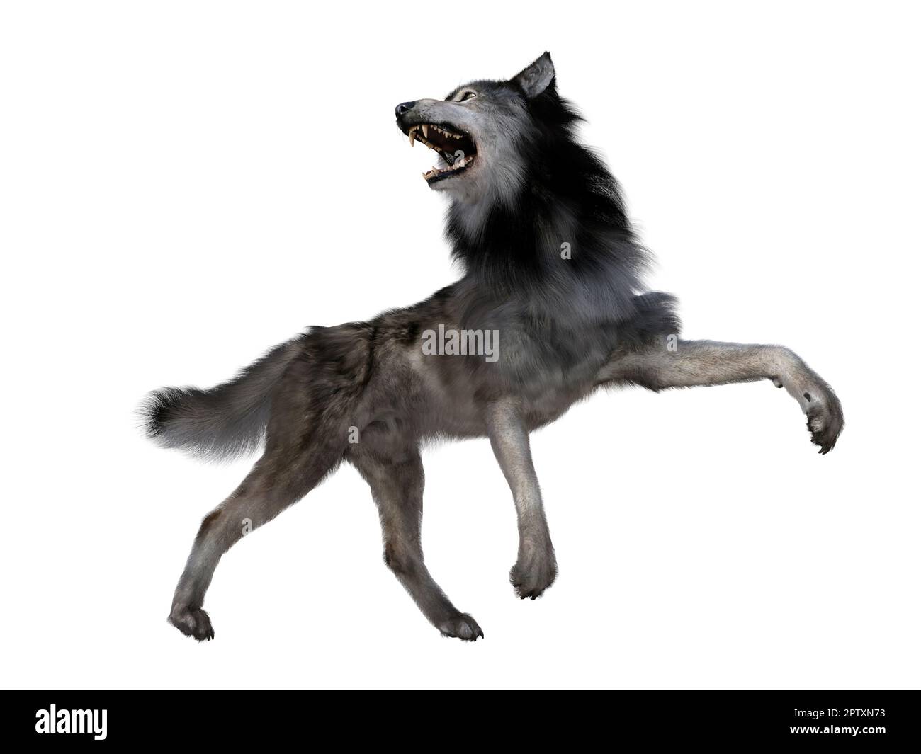 The carnivorous Dire Wolf lived in North and South America during the ...