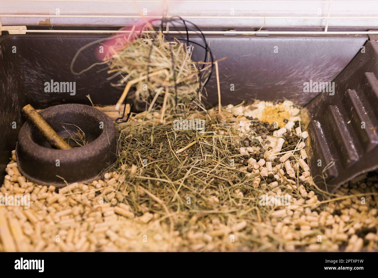 Dry food for rodents in bowl in rabbit cage Stock Photo - Alamy