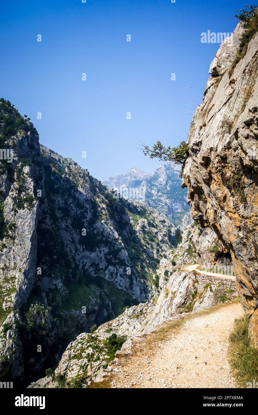 Cares trail - ruta del Cares - in Picos de Europa canyon, Asturias ...