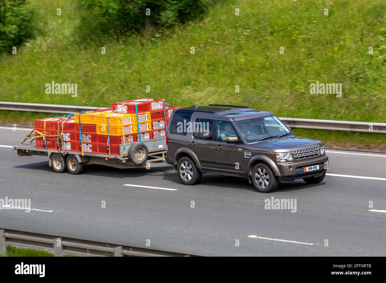 Racing pigeons transportation hi-res stock photography and images - Alamy