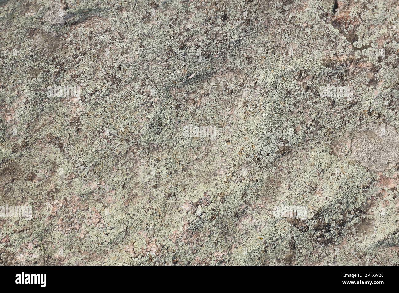 Closeup of the rough stone texture of a big rock surface for natural ...
