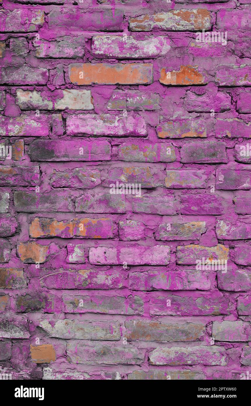The texture of purple wall from a variety of old and dirty brick ...