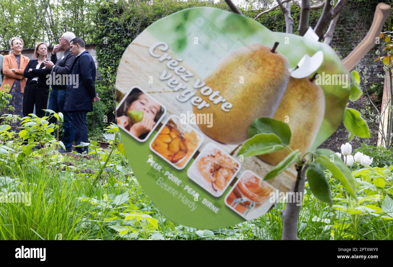Brussels, Belgium. 28th Apr, 2023. Princess Claire of Belgium and ...