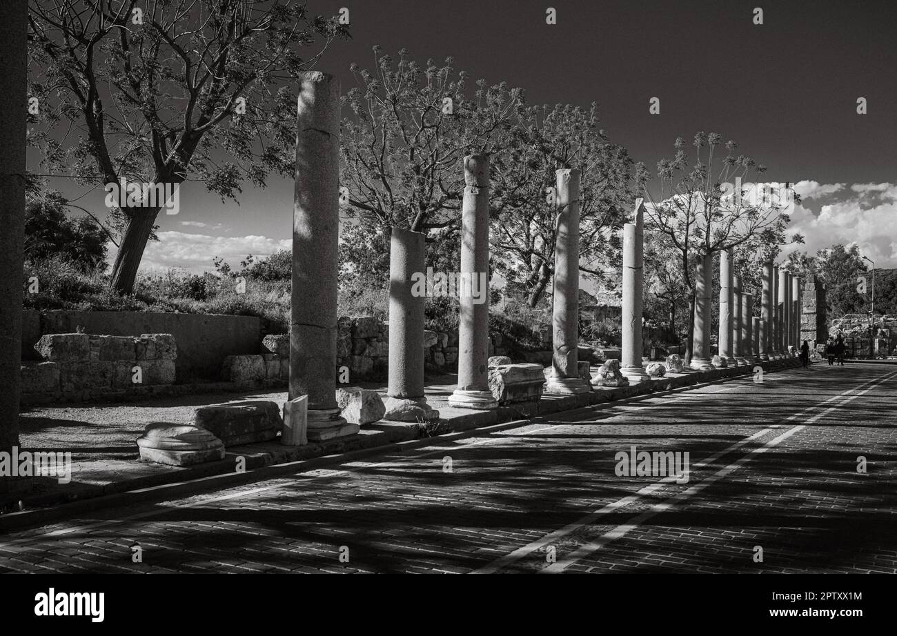 Roman-era marble columns line a road opposite the amphitheatre in the ...