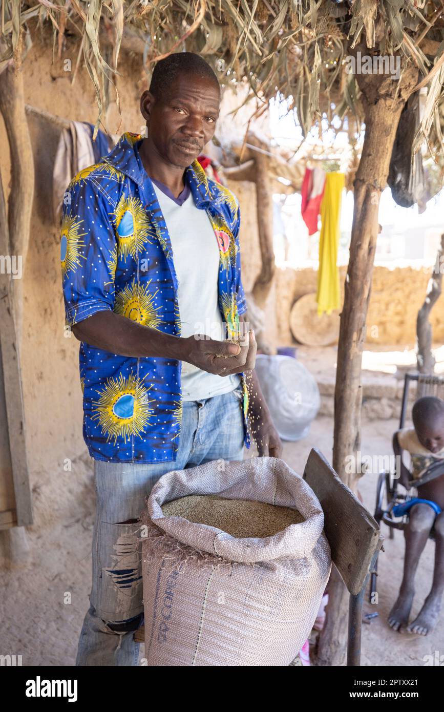An African man sifts his millet grain crop through the palm of his hand ...