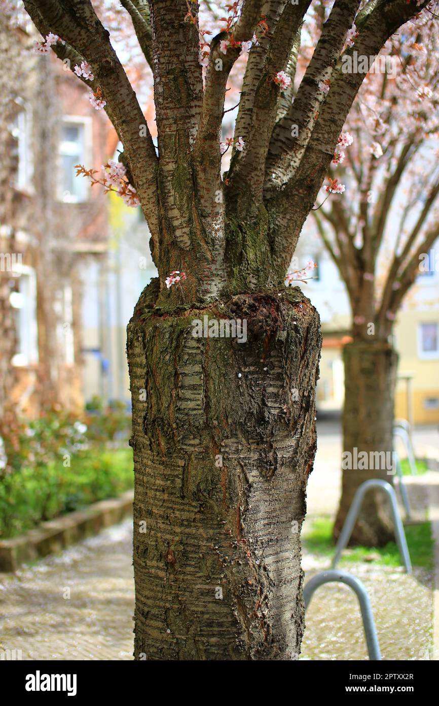 Graft street hi-res stock photography and images - Alamy