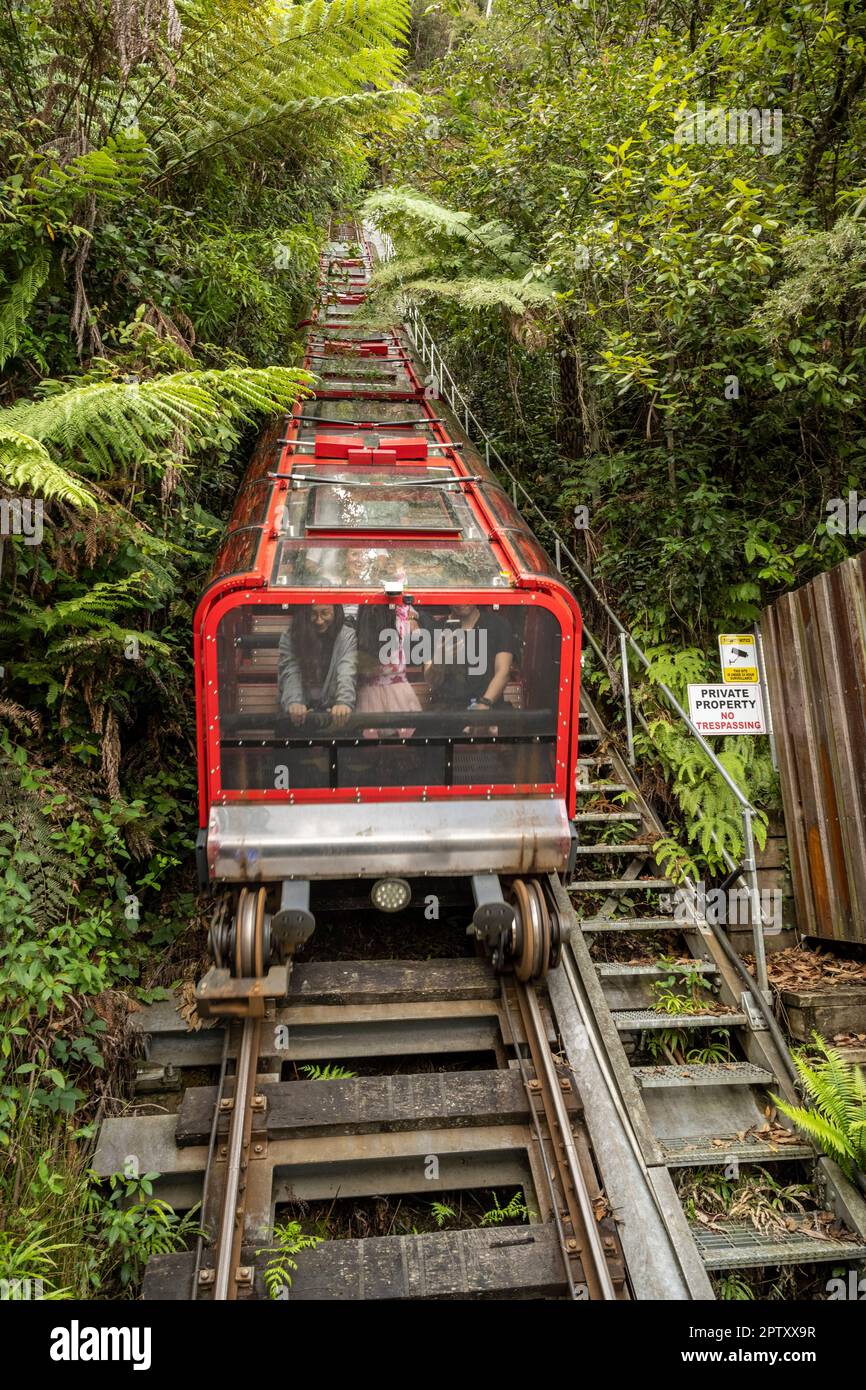 Railway carriages Blue Mountains, Australia Stock Photo - Alamy
