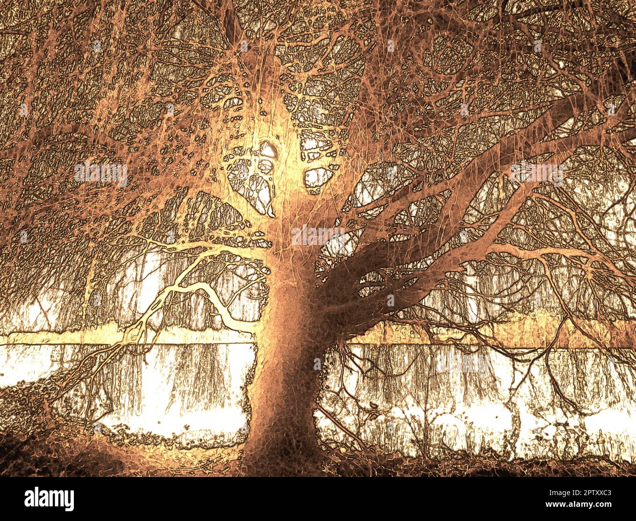 Art, lakeside scene, tree illuminated by the early evening /early ...
